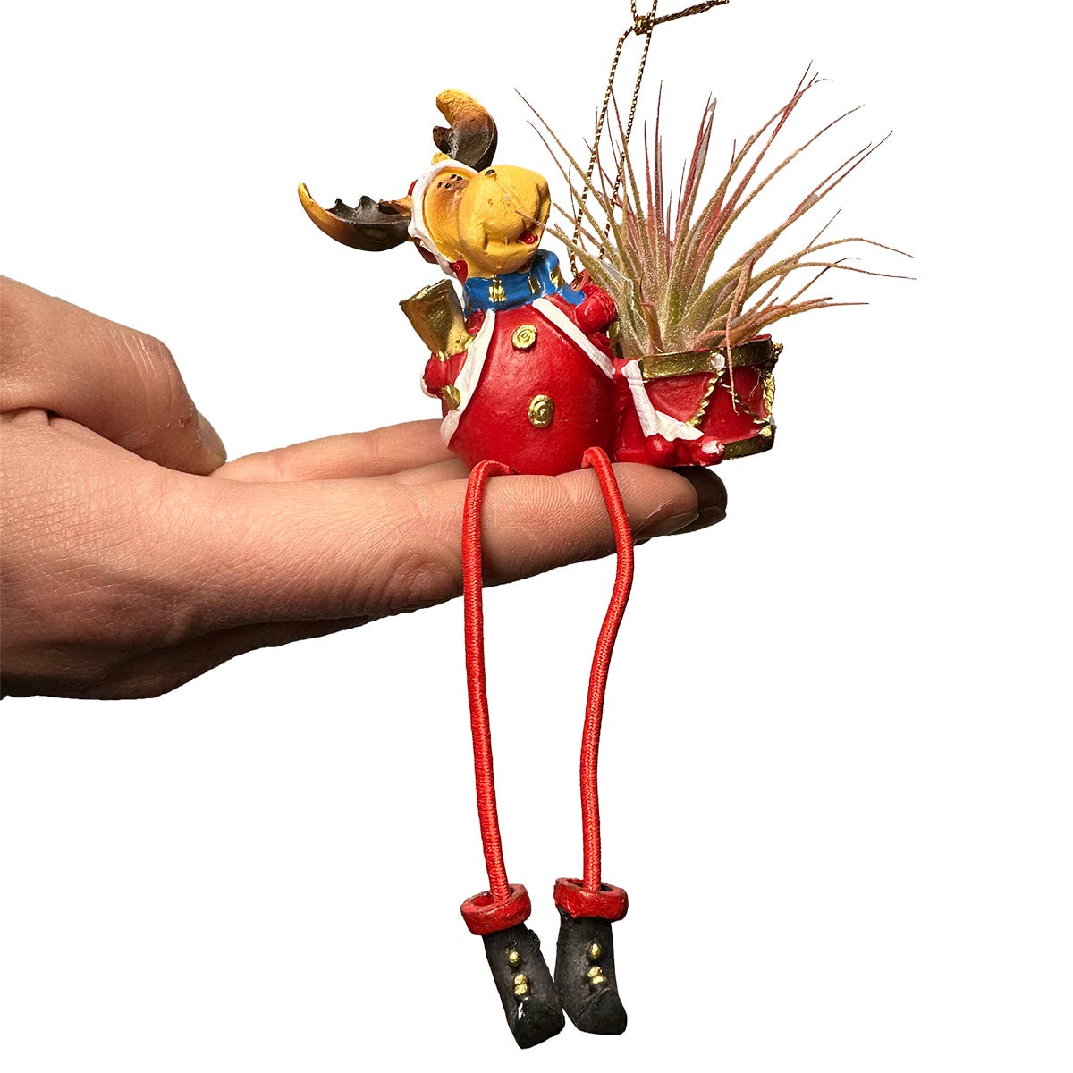 Living Ornament | The Green Crow Plants