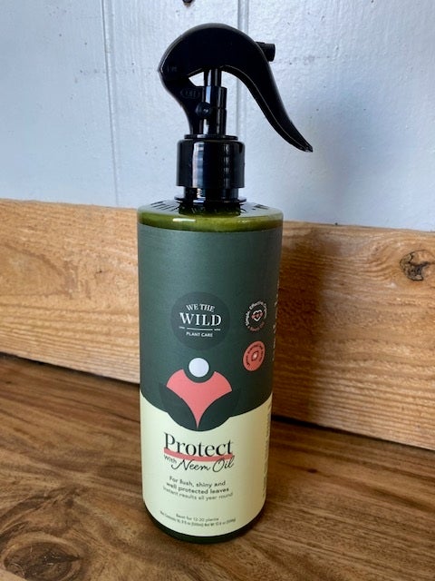 Protect Spray | The Green Crow Plants