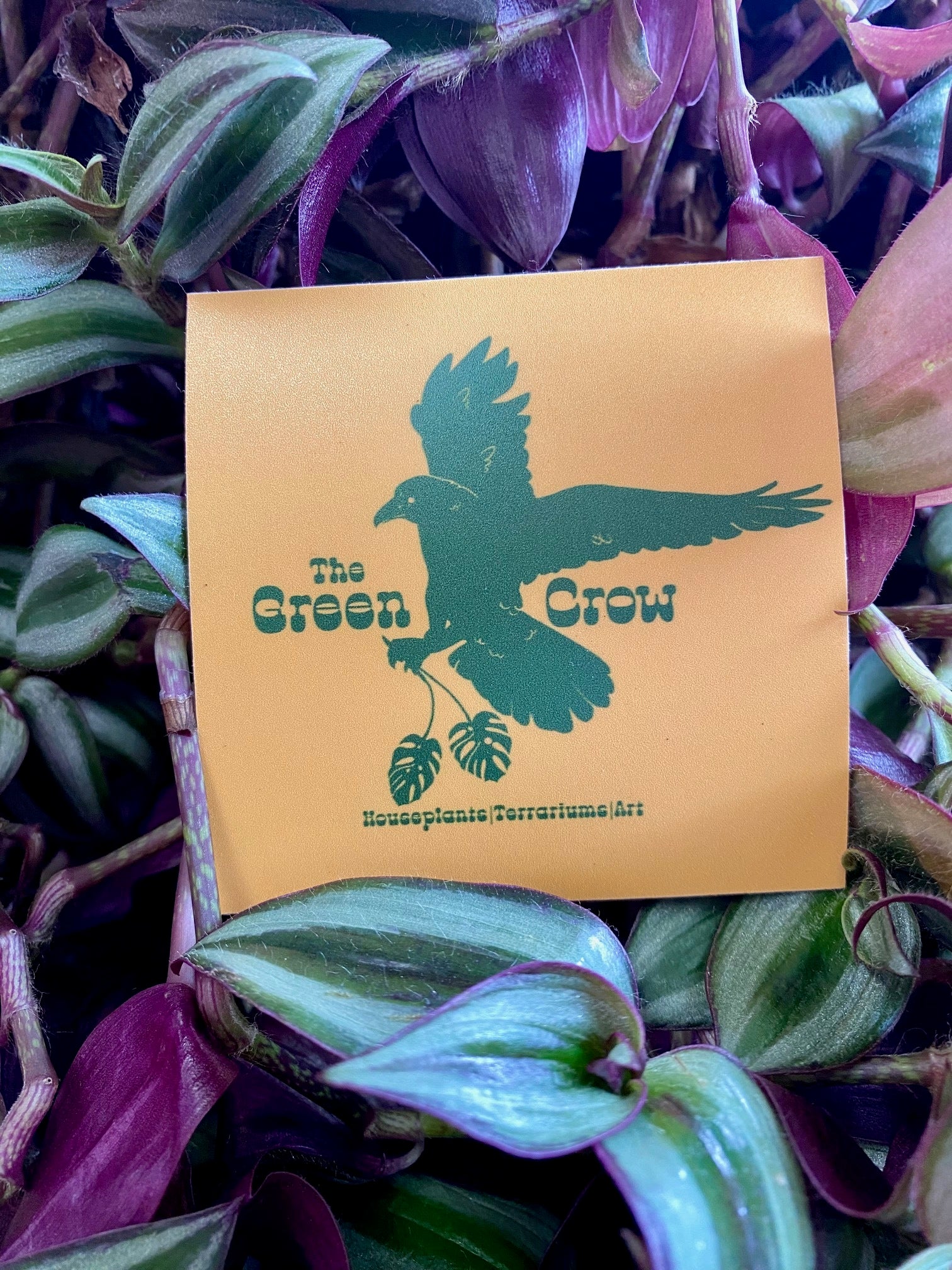 Green Crow Logo Sticker | The Green Crow Plants