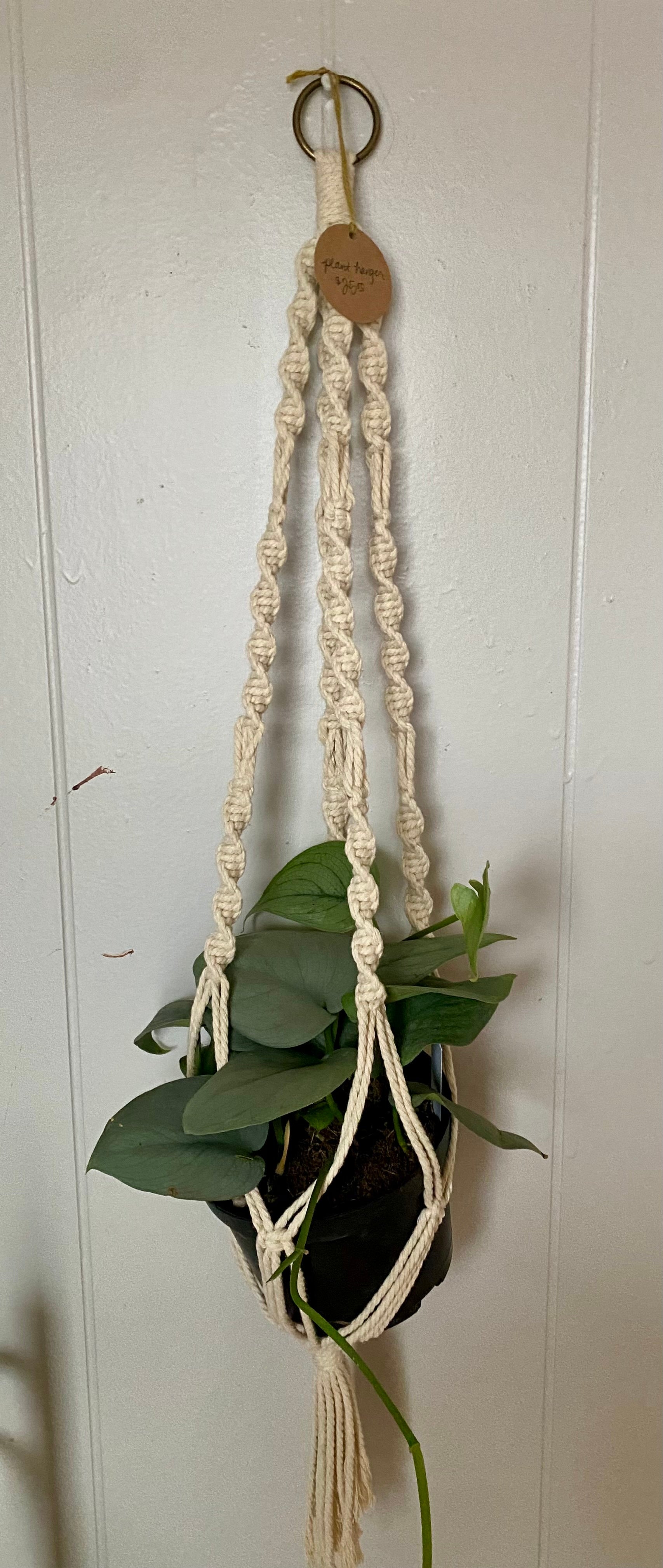 Macrame Hanger | The Green Crow Plants